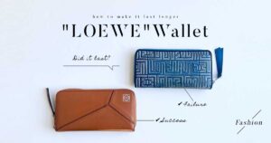 【成功例と失敗例レビュー】ロエベの財布を長持ちする方法【傷つきやすい？】